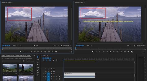 Different Video Color In Source Monitor And Progra Adobe Product