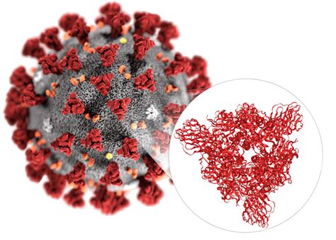 Protein Structure Analysis Using Single Particle Cryo Em For