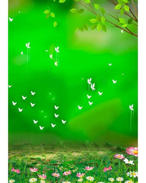 Nature Background Images Hd For Editing Picsart Background Hd