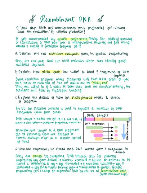 Recombinant DNA Notes É Blecommbilimanet DNA É How does DNAget manipulated and