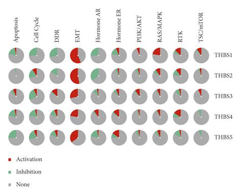 Thbss Methylation And Distribution In Cancer Samples A Bubble Map