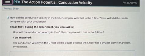 Solved Reset Activity Pex The Action Potential Conduction