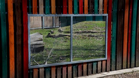 Types Of Wire Mesh Fencing Galvanized Welded And More