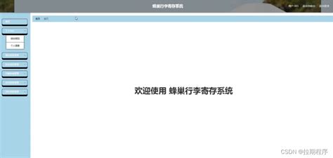 java php node js python蜂巢行李寄存系统【2024年毕设】 csdn博客