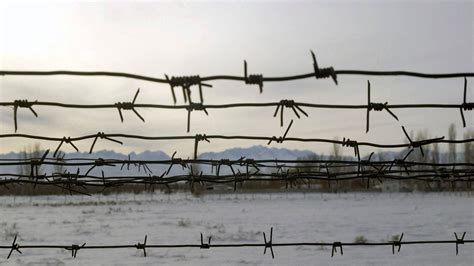150 jahre stacheldraht gegen rinder gegen menschen eine teuflische karriere der spiegel