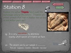 Fossil Lab Gonyoscience