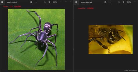【pytorch入门学习】 Dateset类的实现笔记（套路） 附有详细的代码注释以及实验框架流程pytorch Data Set Csdn博客