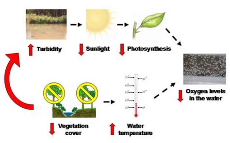 Turbidity Monitoring Making Water Quality Clear The Temboo Blog