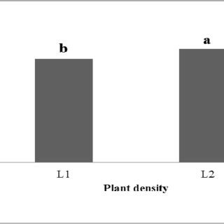 Effects Of Plant Density On Root Length L And L Plant Densities Of Download Scientific