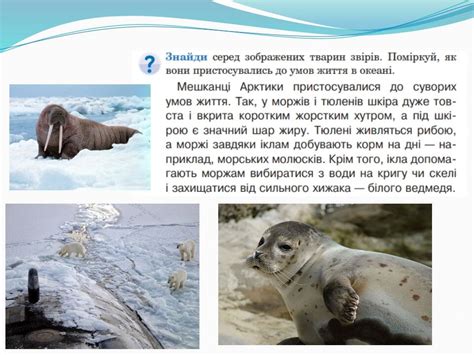 Північний Льодовитий океан Урок ЯДС 4 клас Презентація Я досліджую світ