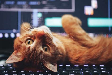 How To Use Power Automate Azure Openai Gpt Models