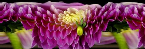 Emulate Slit Scan Photography For Beautifully Weird Images