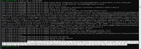 Windows Subsystem For Linux Docker Container Exit 1 Error When