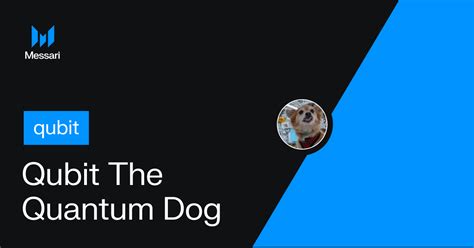 Qubit The Quantum Dog Price Qubit To Usd Research News And Fundraising