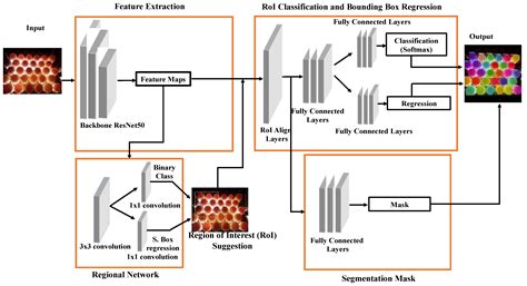 deep learning based egg fertility detection