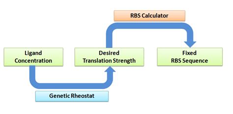 Teampeking Rprojectrbsautomateddesign