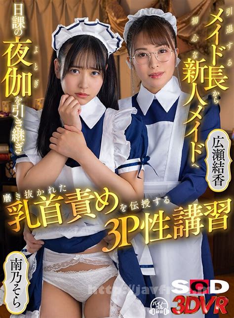 Dsvr 1159 【vr】引退するメイド長から初心な新人メイドへ 日課の夜伽を引き継ぎ 磨き抜かれた乳首責めを伝授する3p性講習