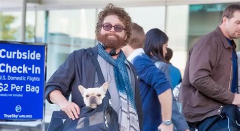 Ethan Tremblay From Due Date Charactour