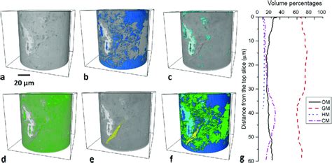 3d Microstructure Of Bor Sample At 100 Nm 1 Mm Scale A Slice View Download Scientific