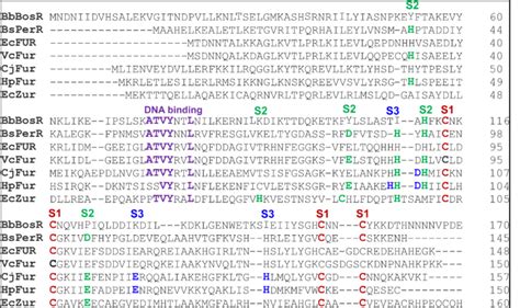 Alignment Of Bosr And Fur Proteins Using Clustal Omega Bs B Download Scientific Diagram