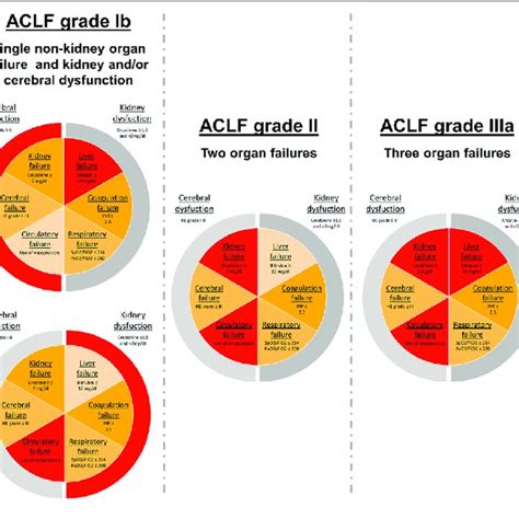 Aclf Grades According To Easl Clif Criteria Classification Of Aclf