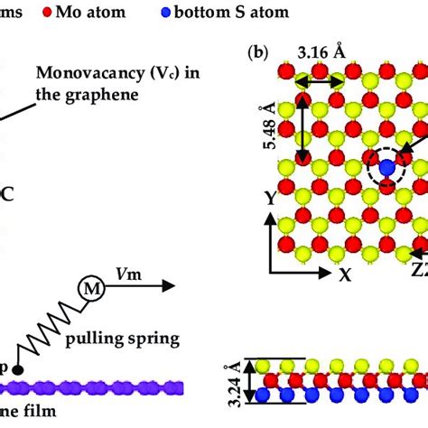 A The Schematic Diagram Of The Atomic Scale The Frictional Download Scientific Diagram