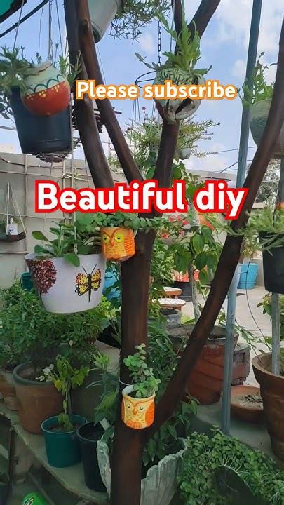 My Beautiful Diy Shorts Youtubeshorts Diy Gardendecor Diycraft