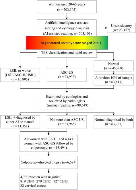 the artificial intelligence‐assisted cytology diagnostic system in