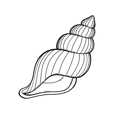 Shell Outline