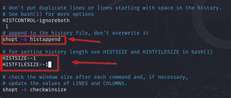 Never Lose A Command Again How To Set Up Unlimited Bash History