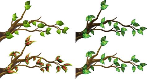 set of different tree branches isolated 10518383 vector art at vecteezy