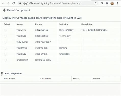 Create Visualforce Page To Retrieve Data From Multiple Custom Objects