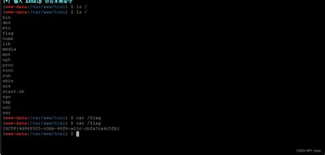 [isctf2023]web个人复现 isctf2023复现 csdn博客