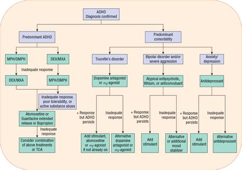 Attention Deficithyperactivity Disorder Basicmedical Key Attention Deficithyperactivity Disorder Basicmedical Key