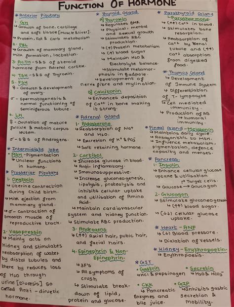 280 Aesthetic Notes Ideas In 2025 School Organization Notes Notes
