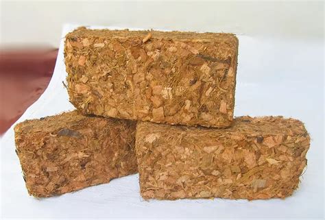 Coco Husk Chips Bricks Hardy Exports