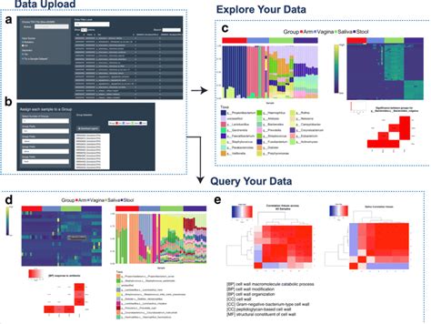 Wham Analysis Modules A Metagenomic Functional And Taxonomic Relative Download Scientific