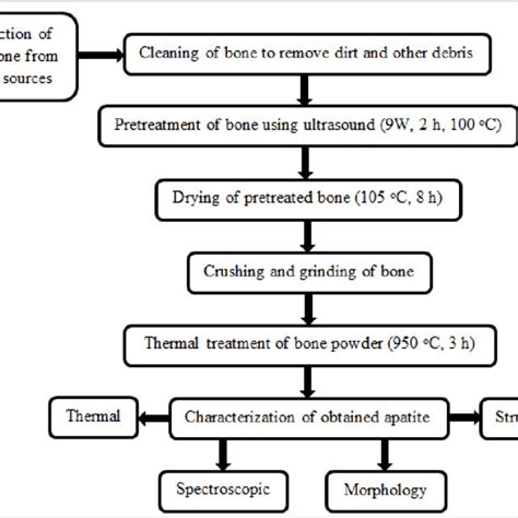 Flow Chart Of Experimental Procedure Download Scientific Diagram