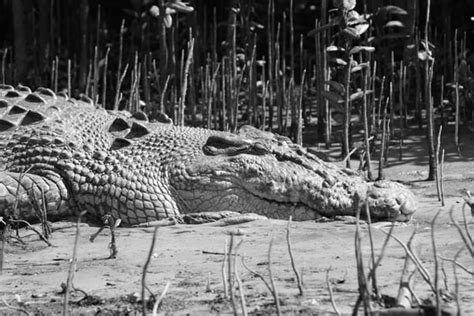 Quick Tip 2 Split Toning Techniques In Adobe Photoshop Envato Tuts