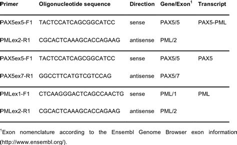 Oligonucleotide Primer Life11ech18