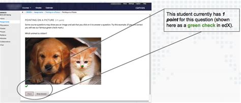 Open Edx As An Lti Tool Provider Open Edx