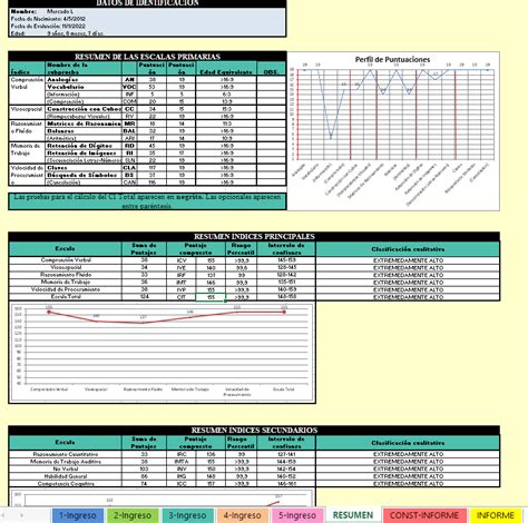 Wisc V Corrección Con Software Comprar En Psiconube