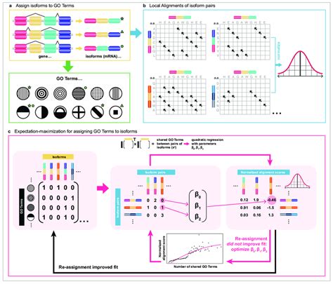 Optimization Algorithm For Assigning Functions From Genes To Isoforms