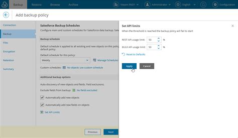 step 3b configure additional options veeam backup for salesforce
