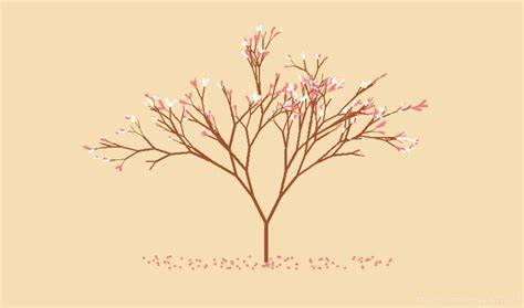 Python的turtle绘图python Turtle库珊瑚如何画 Csdn博客