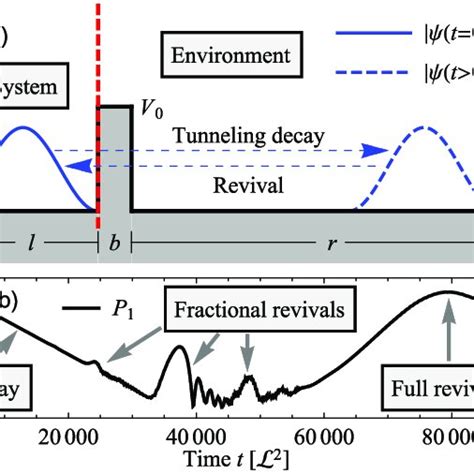 Tunneling In A One Dimensional Asymmetric Double Well Potential A