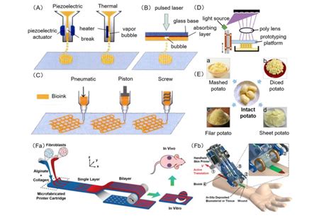 Skin Repair And Healing Research Into Collagen And Polysaccharide Bioinks
