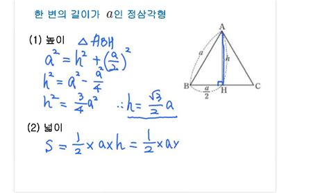 정삼각형높이 넓이 Youtube