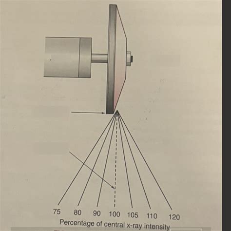 Image Labeling Diagram Quizlet