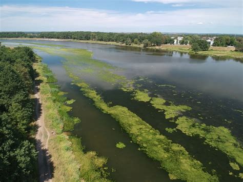 Wciąż Nie Wiadomo Kto Zatruł Odrę Lubin Portal Miasta